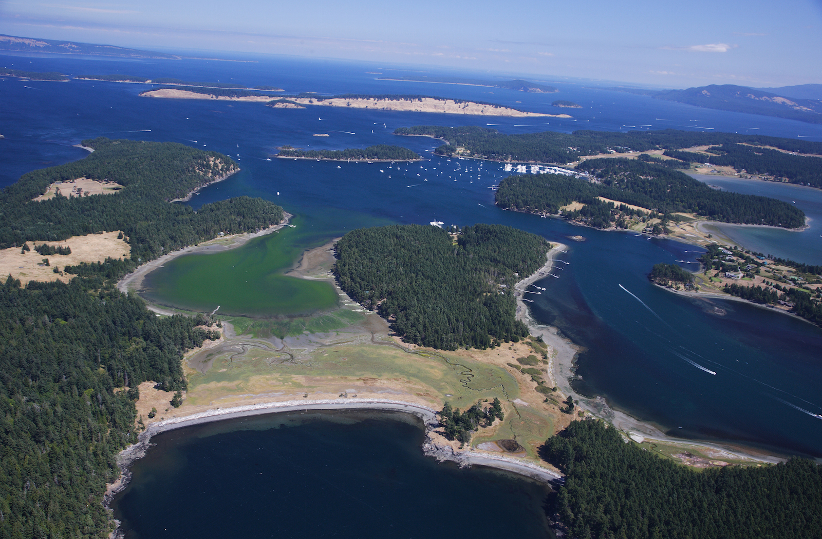 Earth Day at Henry Island Preserve - San Juan Preservation Trust