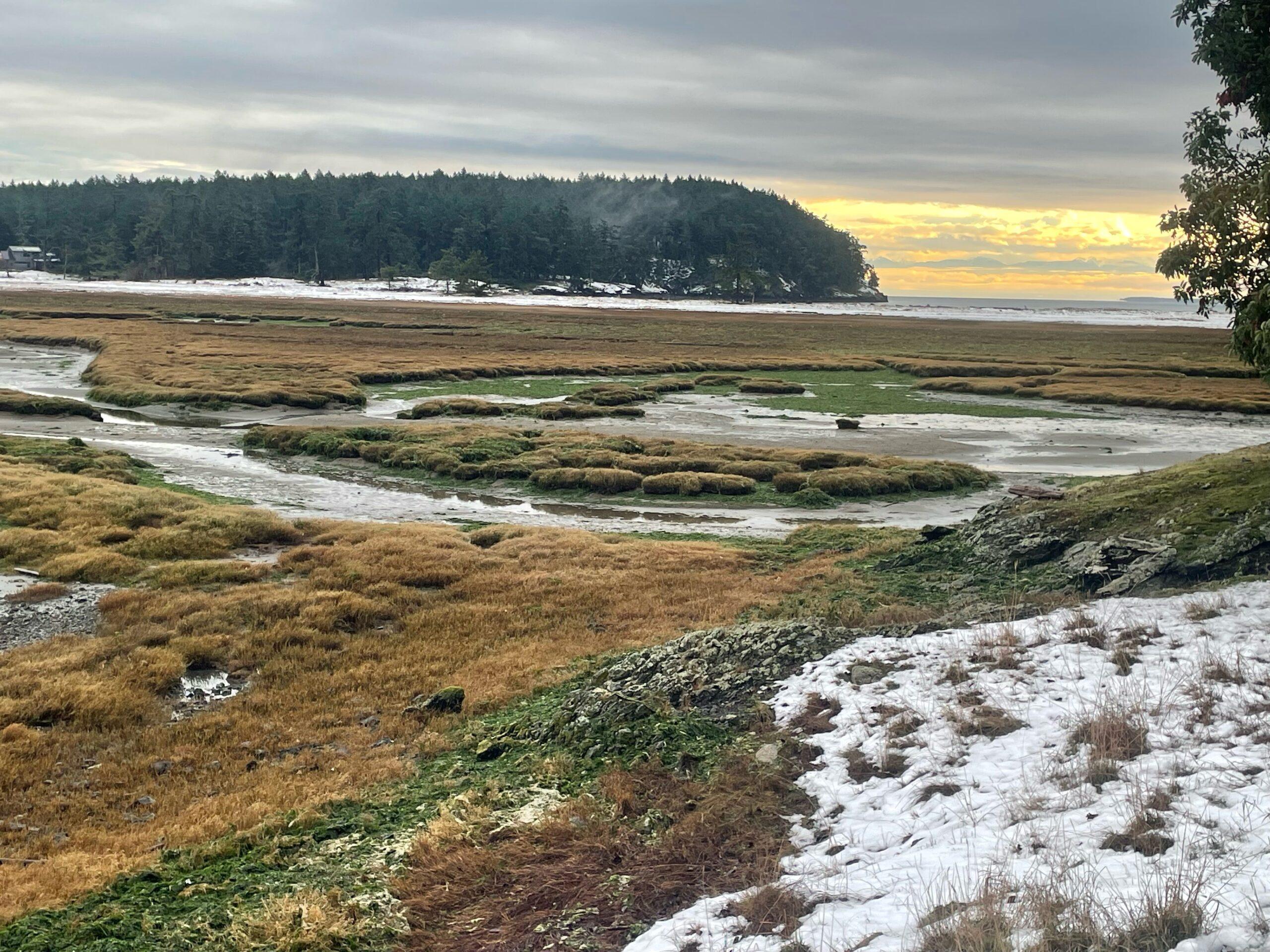 2024 Swan Count Wrap-Up - San Juan Preservation Trust