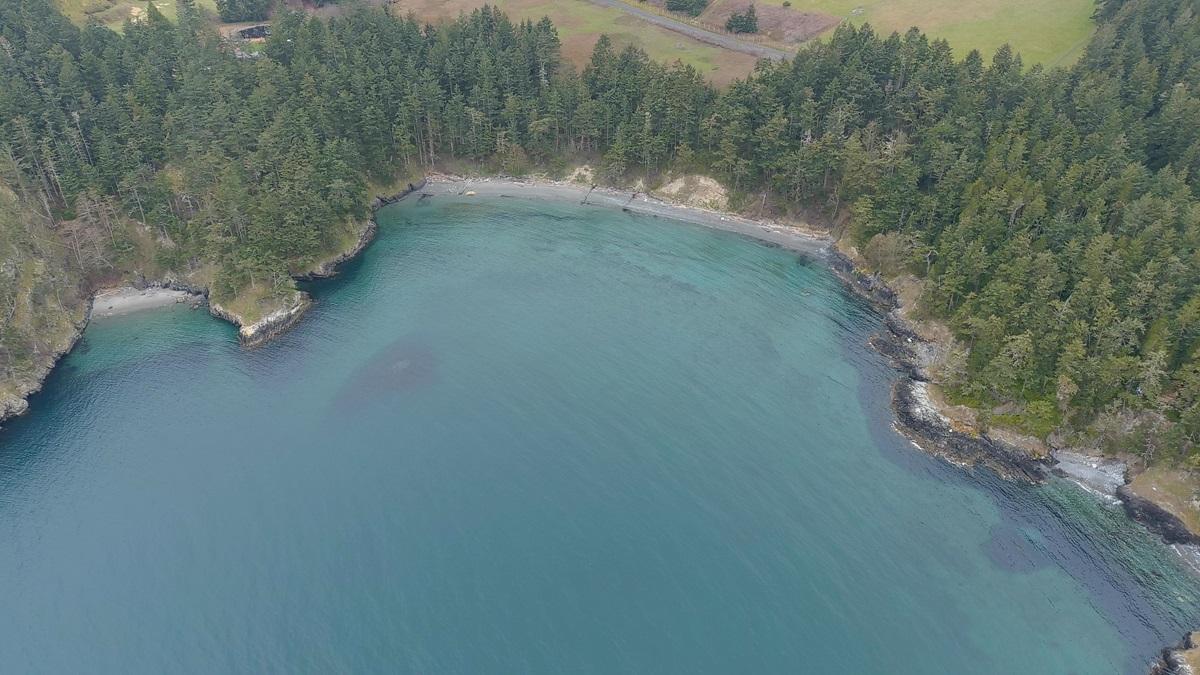 McArdle Bay - San Juan Preservation Trust