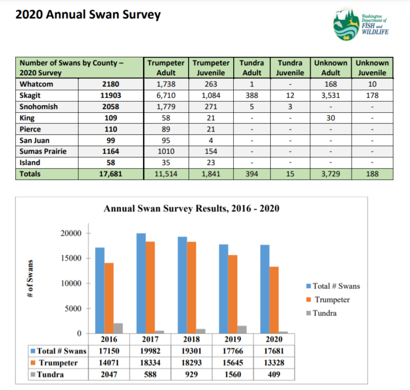 2020 Swan Count - San Juan Preservation Trust