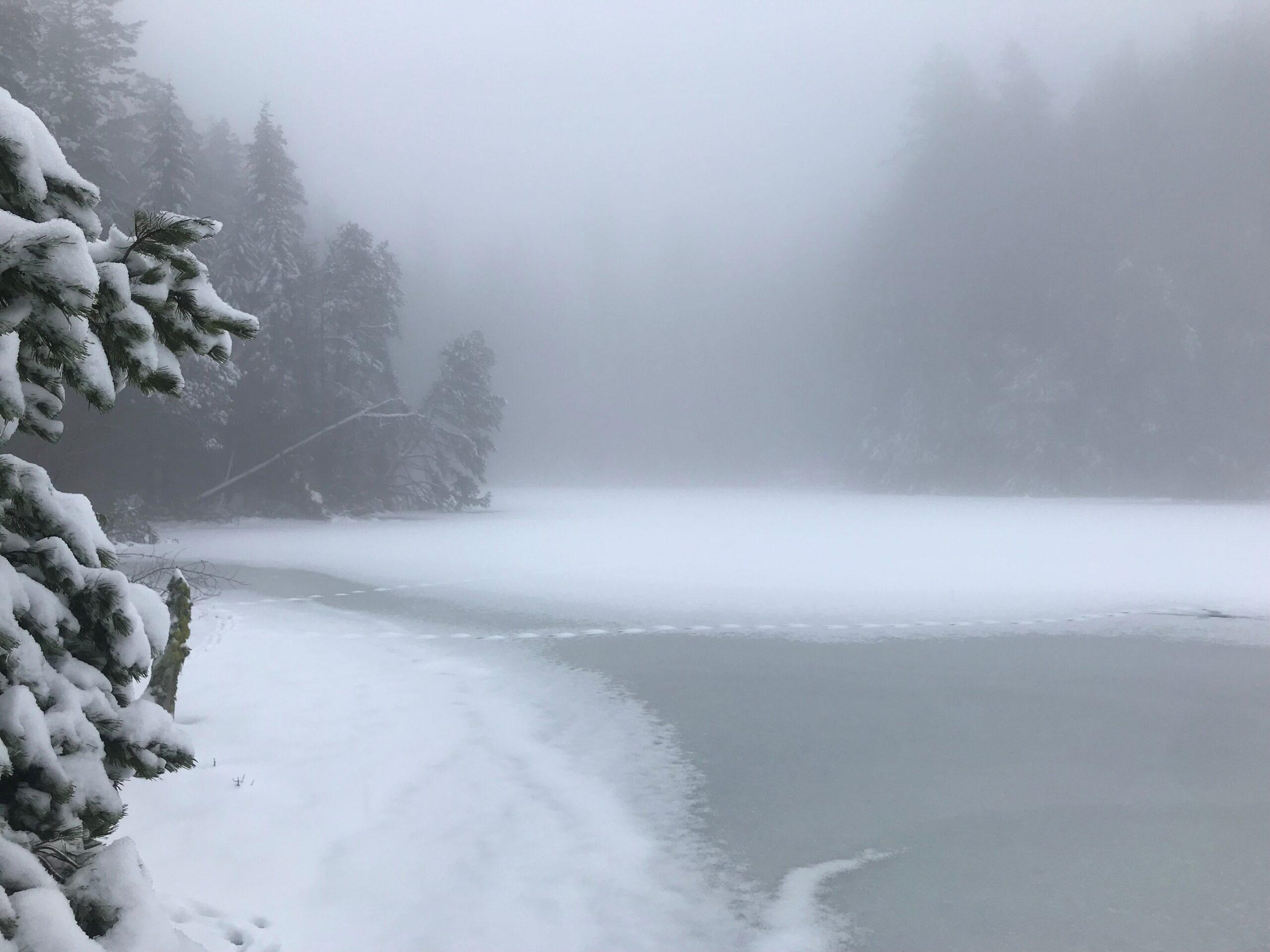 2024 Swan Count Wrap-Up - San Juan Preservation Trust